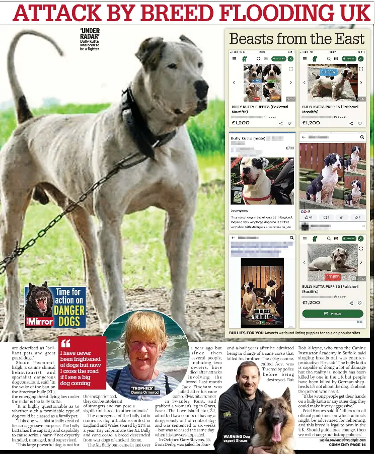 It locked onto my leg and I could feel it biting deeper and deeper to the bone - PressReader