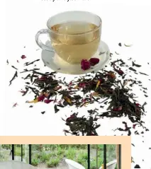 EVERYDAY GREEN TEA - PressReader