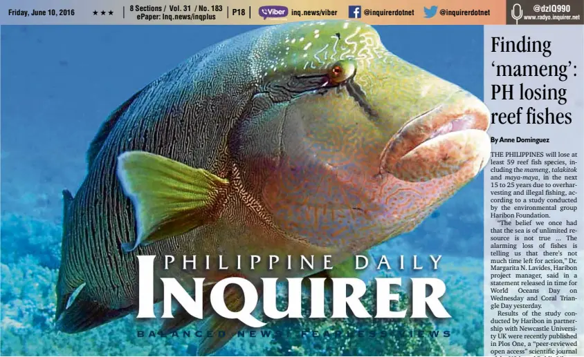 Finding ‘mameng’: PH losing reef fishes - PressReader
