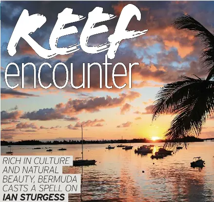 Reef encounter - PressReader