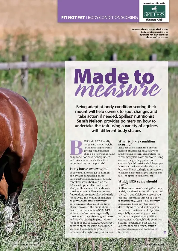 Made to measure - PressReader