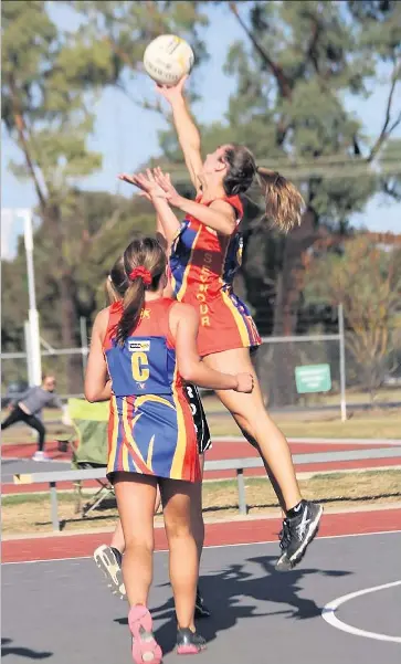 Lions going on Bear hunt - PressReader