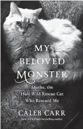 ‘Alienist’ author Caleb Carr on life with cancer, without his cat ...