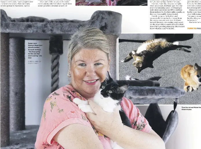 The cat challenge - PressReader
