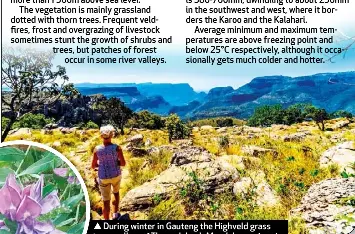 THE HIGHVELD - PressReader