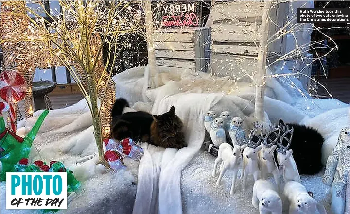 Consumers not protected by regulator Ofgem Illegal immigratio­n not ...