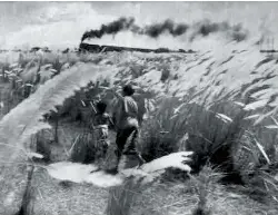 A CENTURY OF RAY - PressReader