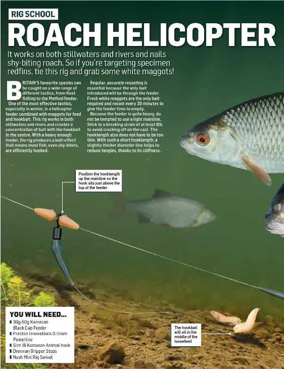 ROACH HELICOPTER FEEDER RIG - PressReader