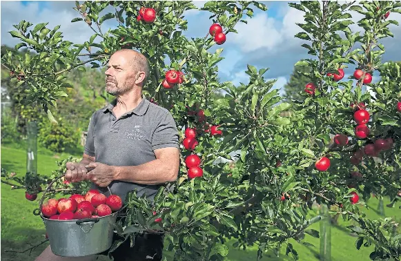 Fruit growers hail orchard traditions ripe for revival - PressReader