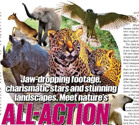 ALL-ACTION HEROES - PressReader