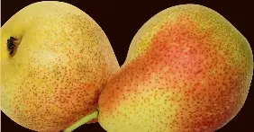 PERSISTENC­E IS THE KEY AS IT CAN TAKE SEVERAL MONTHS TO A YEAR TO ...