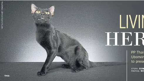 LIVING HERITAGE - PressReader