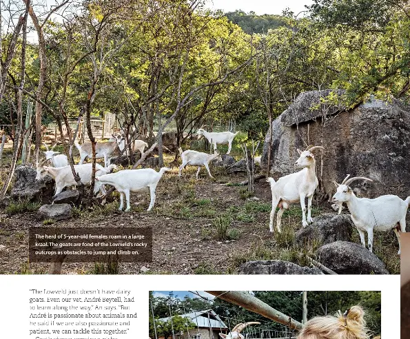Entreprene­urs I Meet the goat’smilk-cheese makers of Mbombela ...