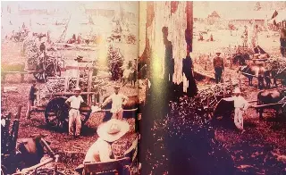 Historical works on the Lopez family - PressReader