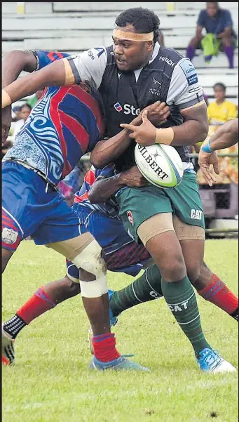 Rookie ready for debut - PressReader