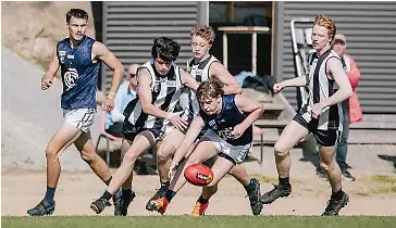 Tigers prevail in reserves - PressReader