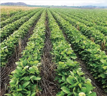 ANTHONY MUIRHEAD - PressReader