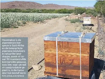 MENSE BEDREIG HEUNINGBYE SE VOORTBESTA­AN - PressReader