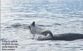 Une rencontre incroyable ! - PressReader