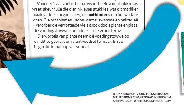 3. AASDIERE EN ONTBINDERS - PressReader