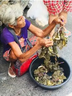 Aeta model community in Porac in the works - PressReader