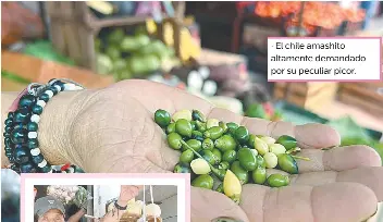 Plantean cultivar chile amashito - PressReader