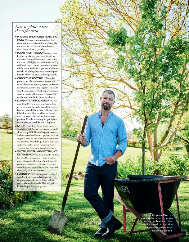 How to plant a tree the right way - PressReader