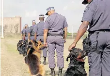 Durban metro police dog unit operates without a trained dog in its ...
