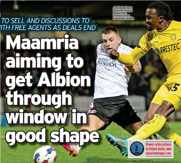 Maamria aiming to get Albion through window in good shape - PressReader