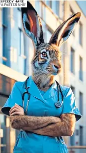 Hare-brained? Labour under fire for bizarre AI Tiktok clip - PressReader