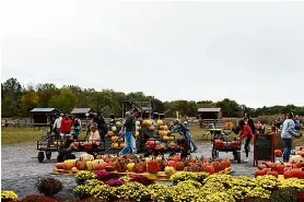 Farms reinvent themselves for a new generation - PressReader