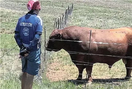 Travels of Delores Koan To fall in love with home again — go north ...