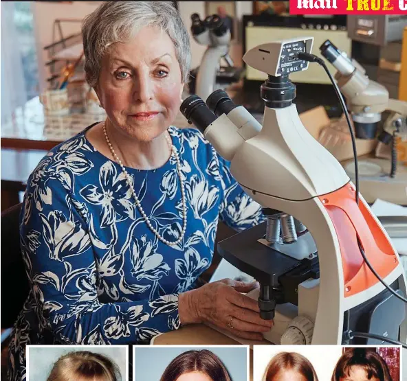 Plant detective who helped to solve the murders of Sarah Payne, Milly ...