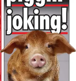You’re piggin’ joking! - PressReader