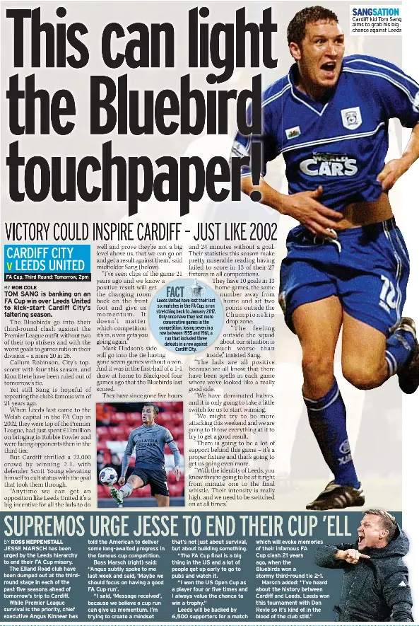 This can light the Bluebird touchpaper! - PressReader