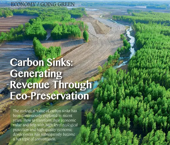 Carbon Sinks: Generating Revenue Through Eco-preservati­on - PressReader