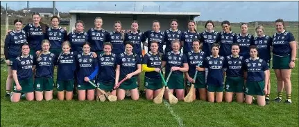 Kerry’s Division 1B debut proves a tough one as Limerick cruise to 25 ...