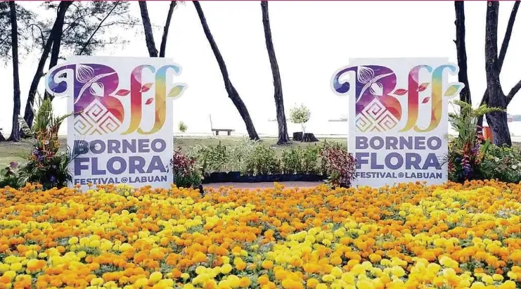Bloom fest in Labuan - PressReader