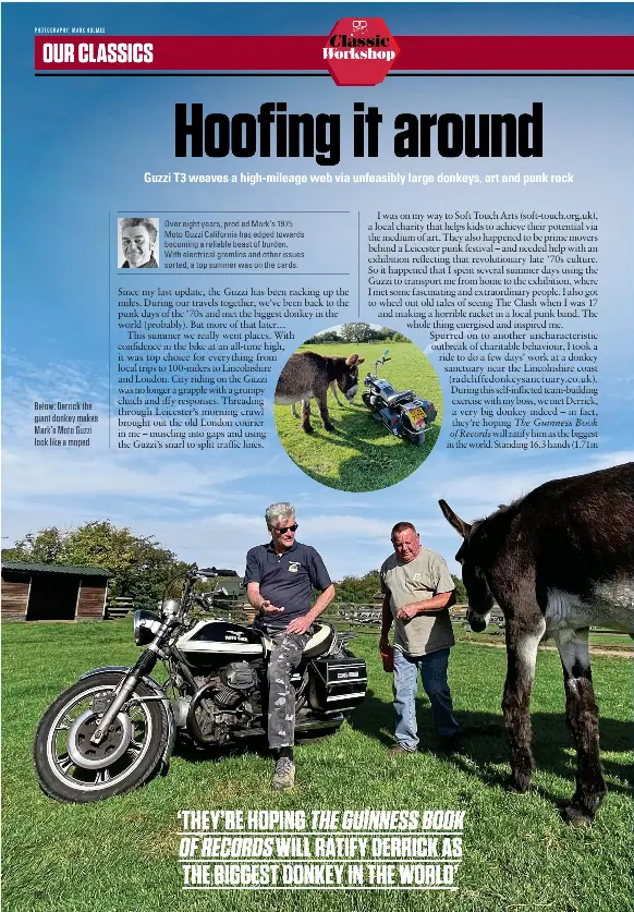 Hoofing it around - PressReader