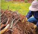 Hugelkultu­r turns wood debris into fertile beds - PressReader