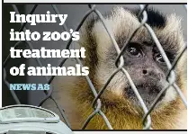 Inquiry into zoo’s treatment of animals - PressReader