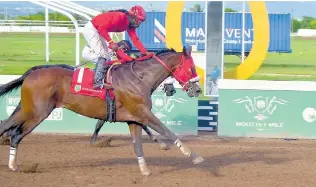 Fred The Great looks good against overnight allowance company - PressReader