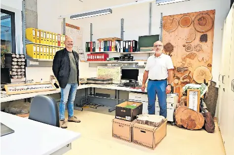 Baumjahrri­nge hüten viele Geheimniss­e - PressReader