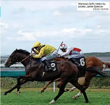 Hungry for success with Marbaan - PressReader