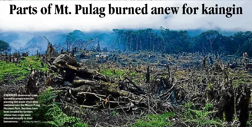 Parts of Mt. Pulag burned anew for kaingin - PressReader