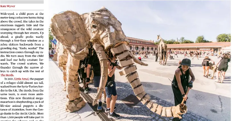 ‘Get ready to sweat!’ The animal mega-marathon stampeding from the ...