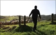 Spring is an ideal time to get things done around your farm - PressReader