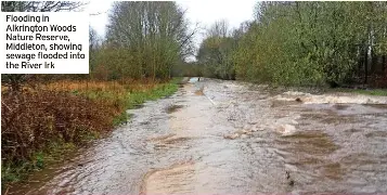 Bid to stop sewage overflows - PressReader