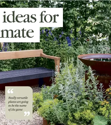 Versatile garden ideas for our changing climate - PressReader