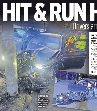 Hit & run horror - PressReader